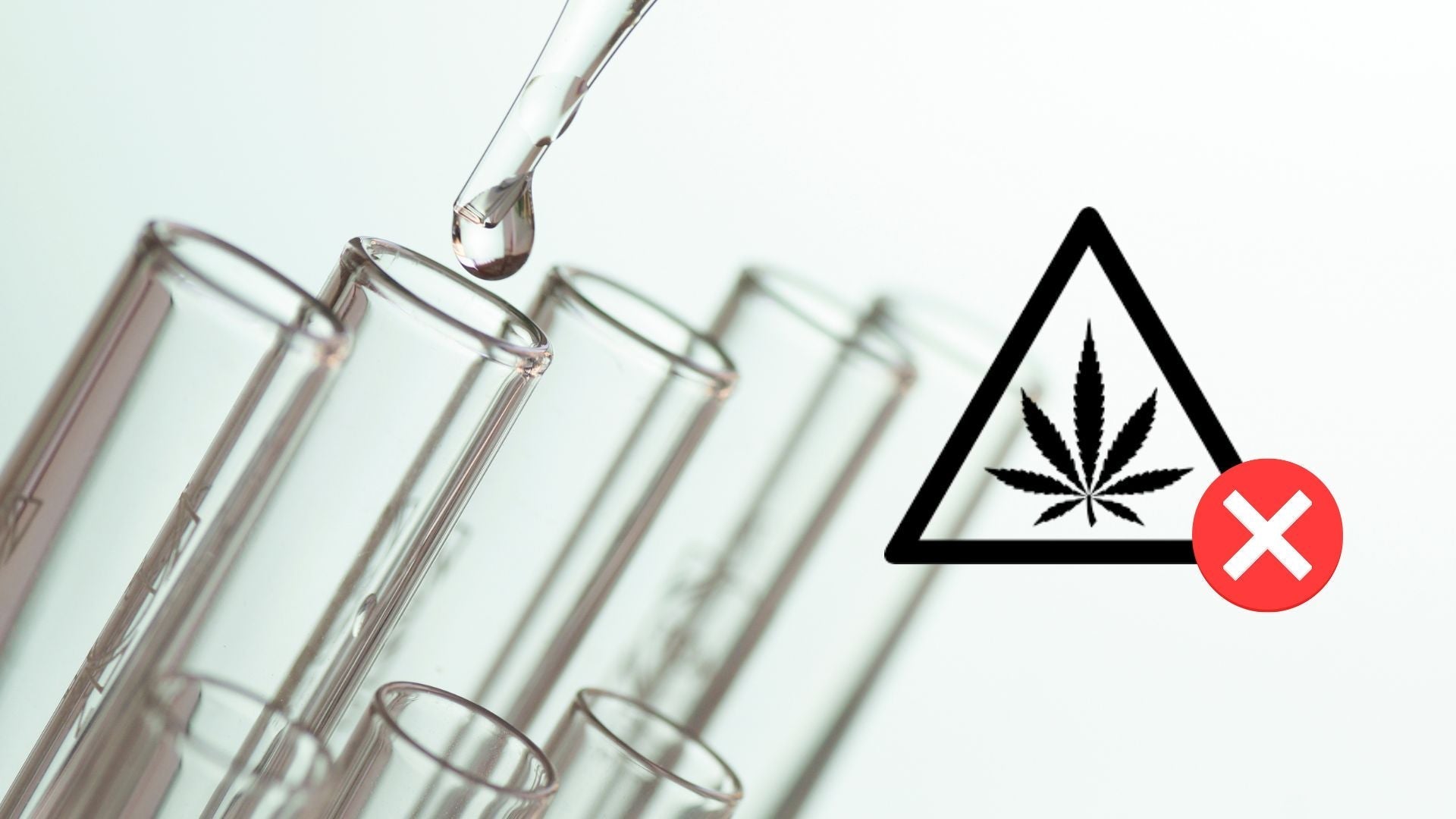 The Ultimate Guide to Non-THC Drug Tests: Laws & Uses